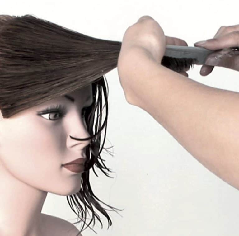 Dictionnaire du Coiffeur, Définition : distribution – Culture Coiffure