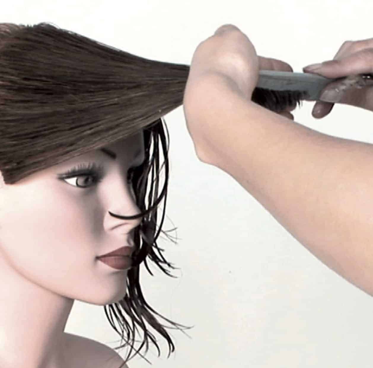 Dictionnaire du Coiffeur, Définition : distribution – Culture Coiffure