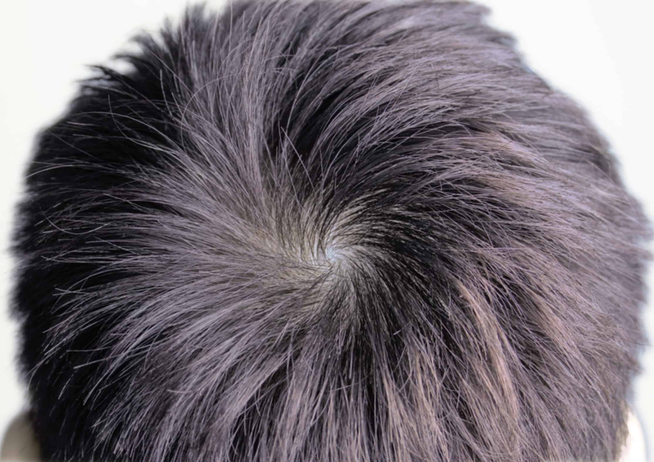 épi – Culture Coiffure