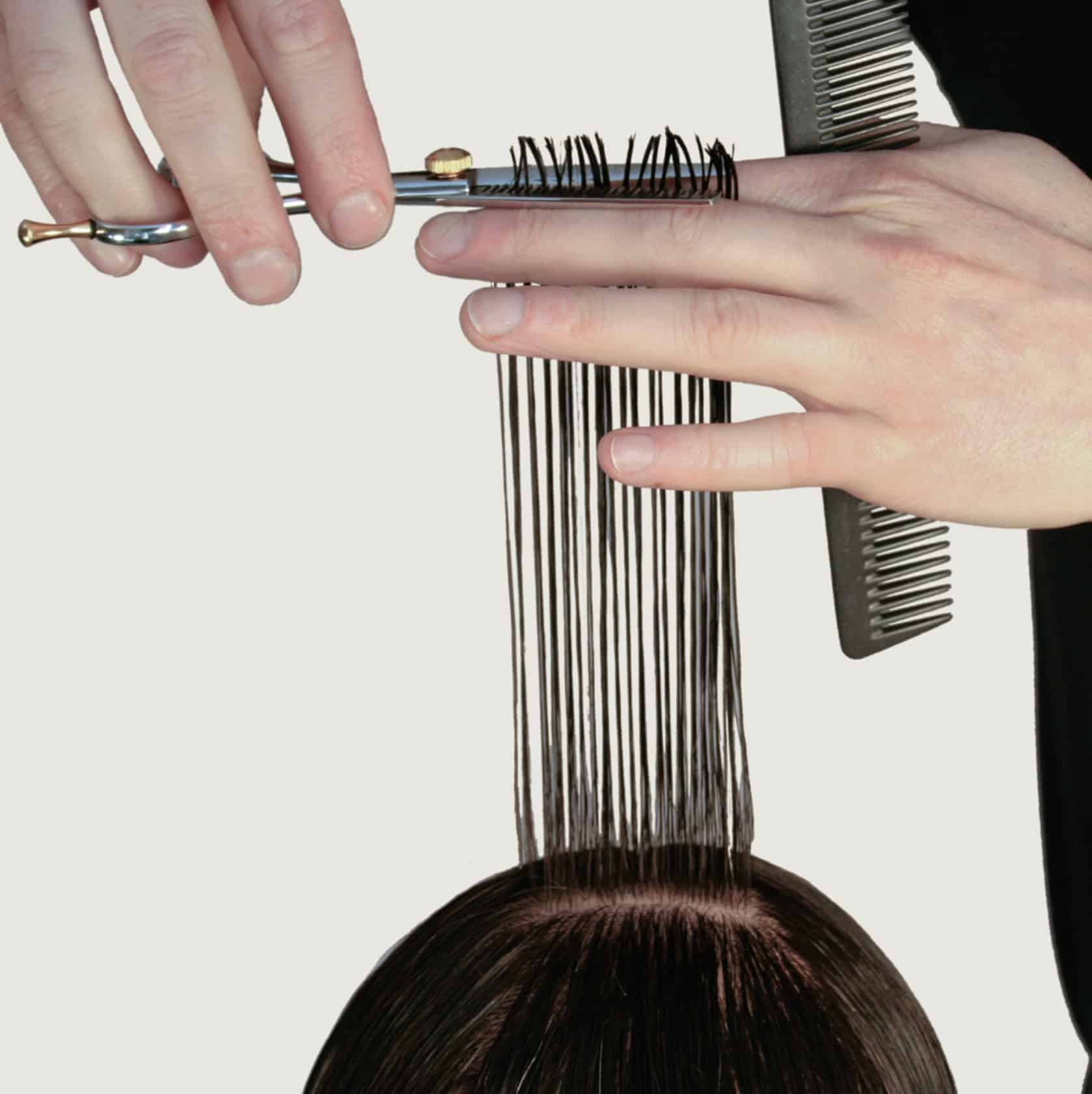 Dictionnaire du Coiffeur, Définition : ciseaux sculpteurs – Culture ...