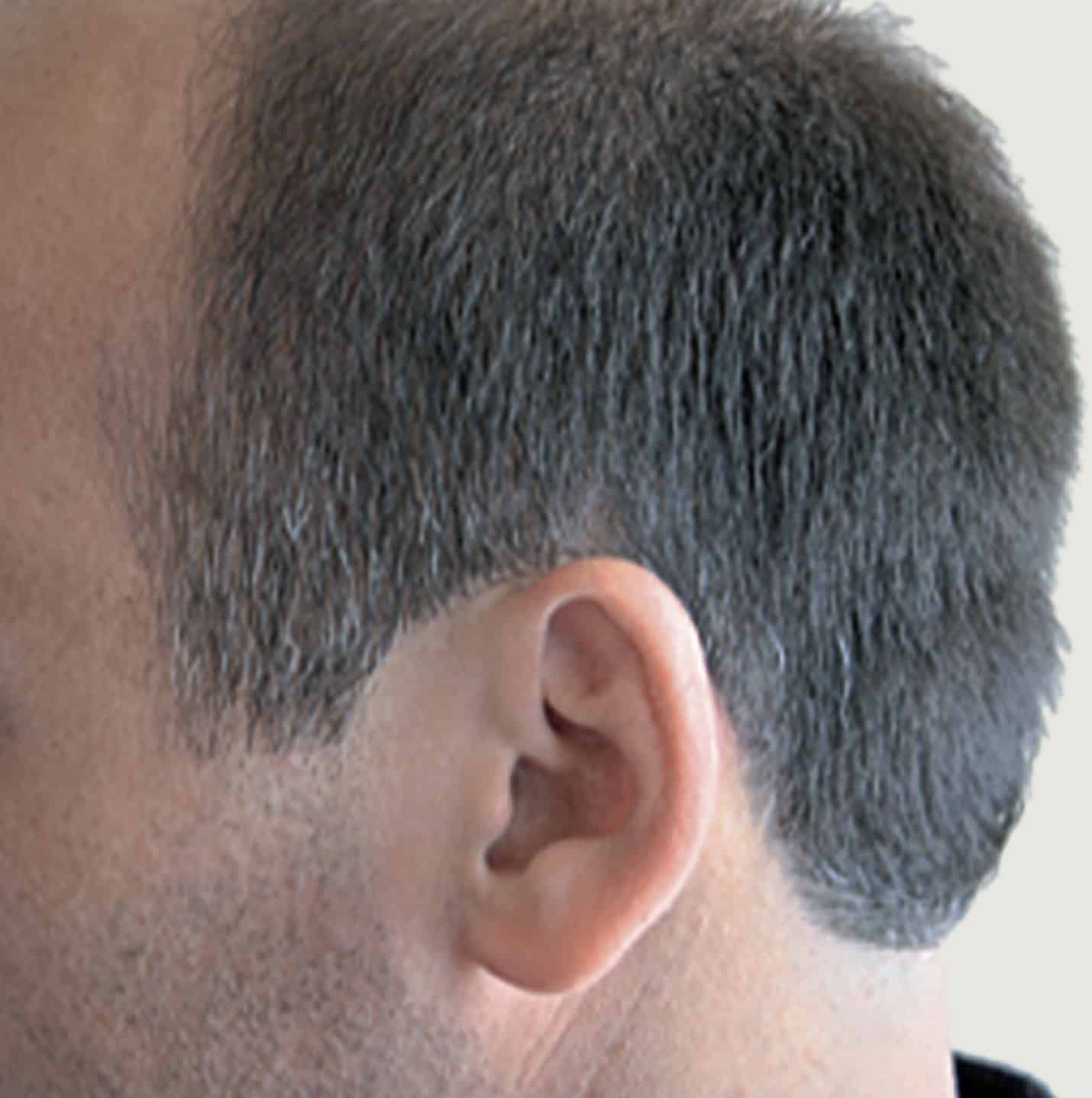 Dictionnaire du Coiffeur, Définition : patte – Culture Coiffure