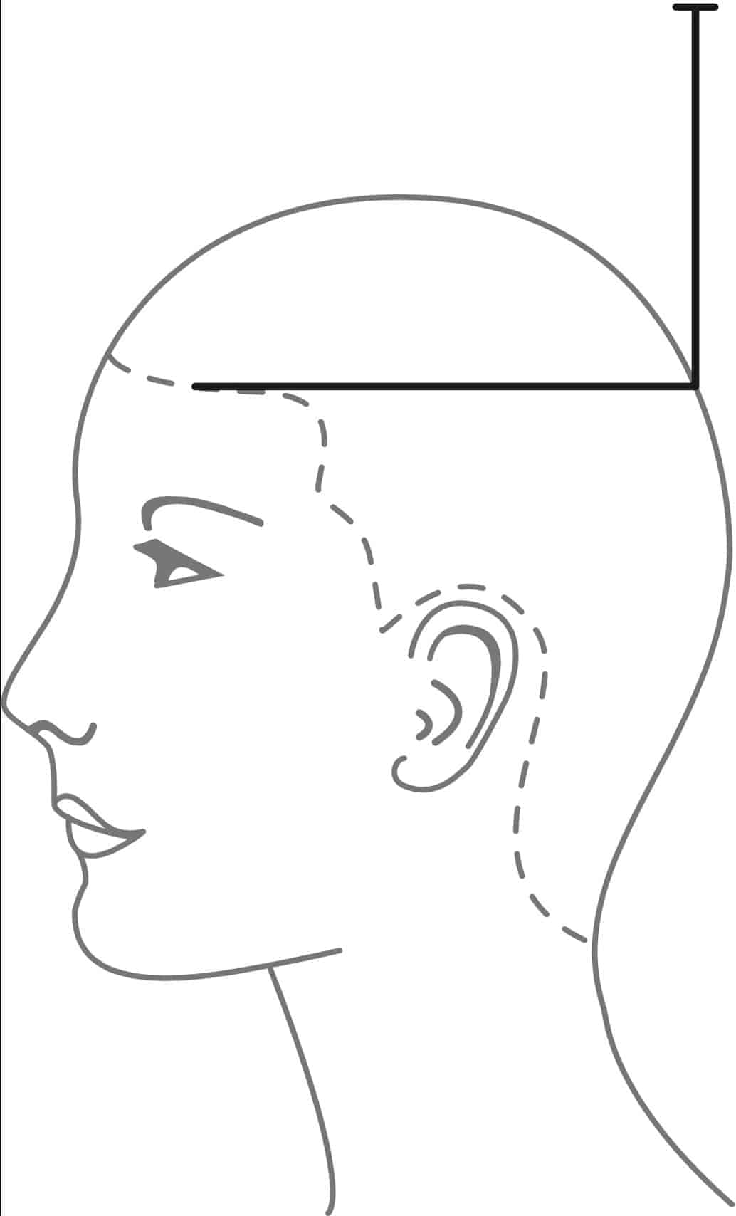 Dictionnaire du Coiffeur, Définition : projection – Culture Coiffure