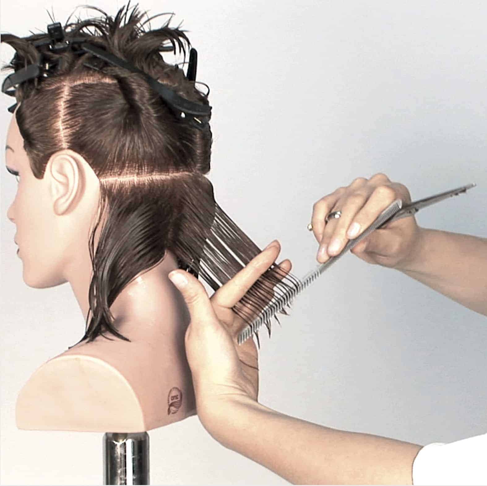 Dictionnaire du Coiffeur, Définition : projection – Culture Coiffure