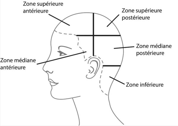 Dictionnaire du Coiffeur, Définition : zone – Culture Coiffure